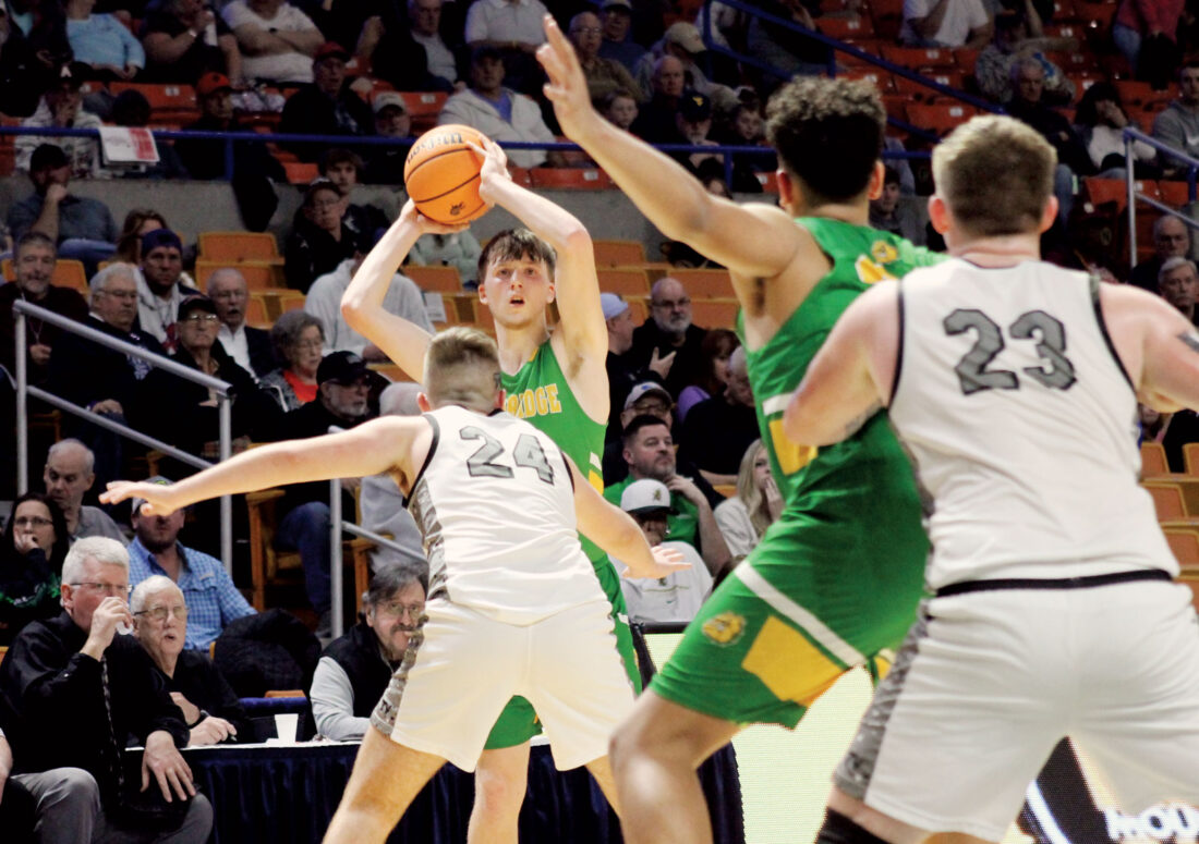 Doddridge County falls to Tug Valley in state quarterfinals | News ...
